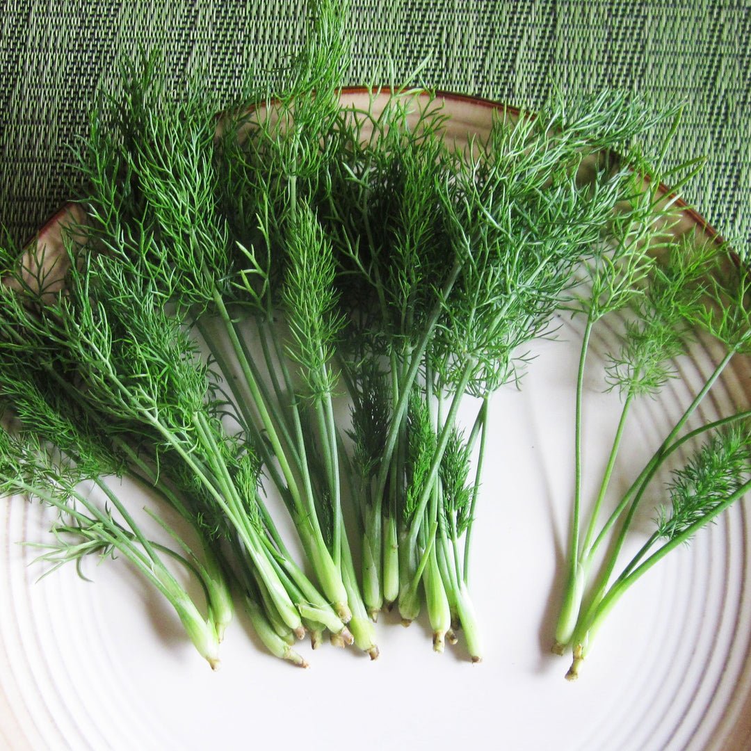 Tiny Veggies™ – Gourmet Sweet Botanicals