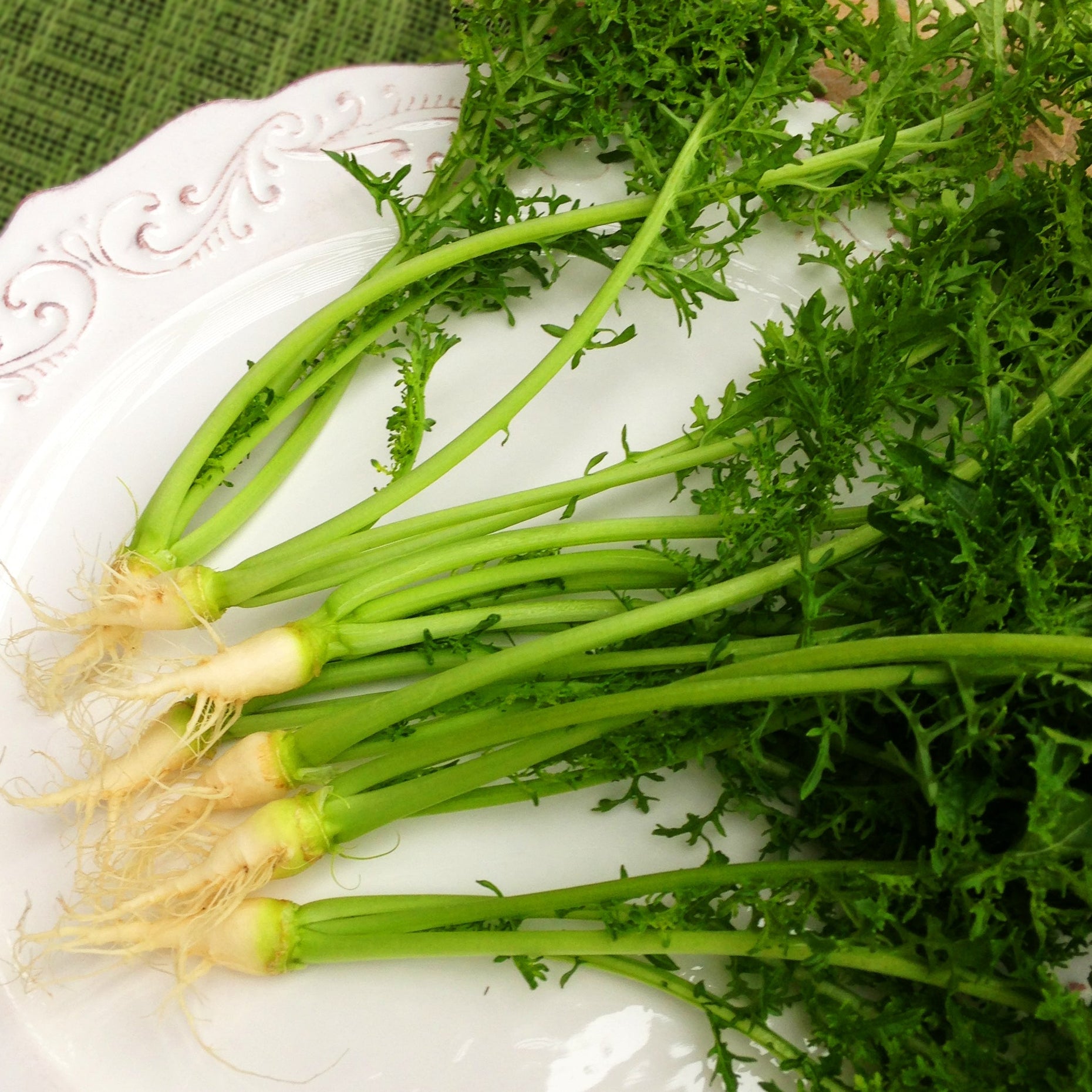 Tiny Veggies™ – Gourmet Sweet Botanicals