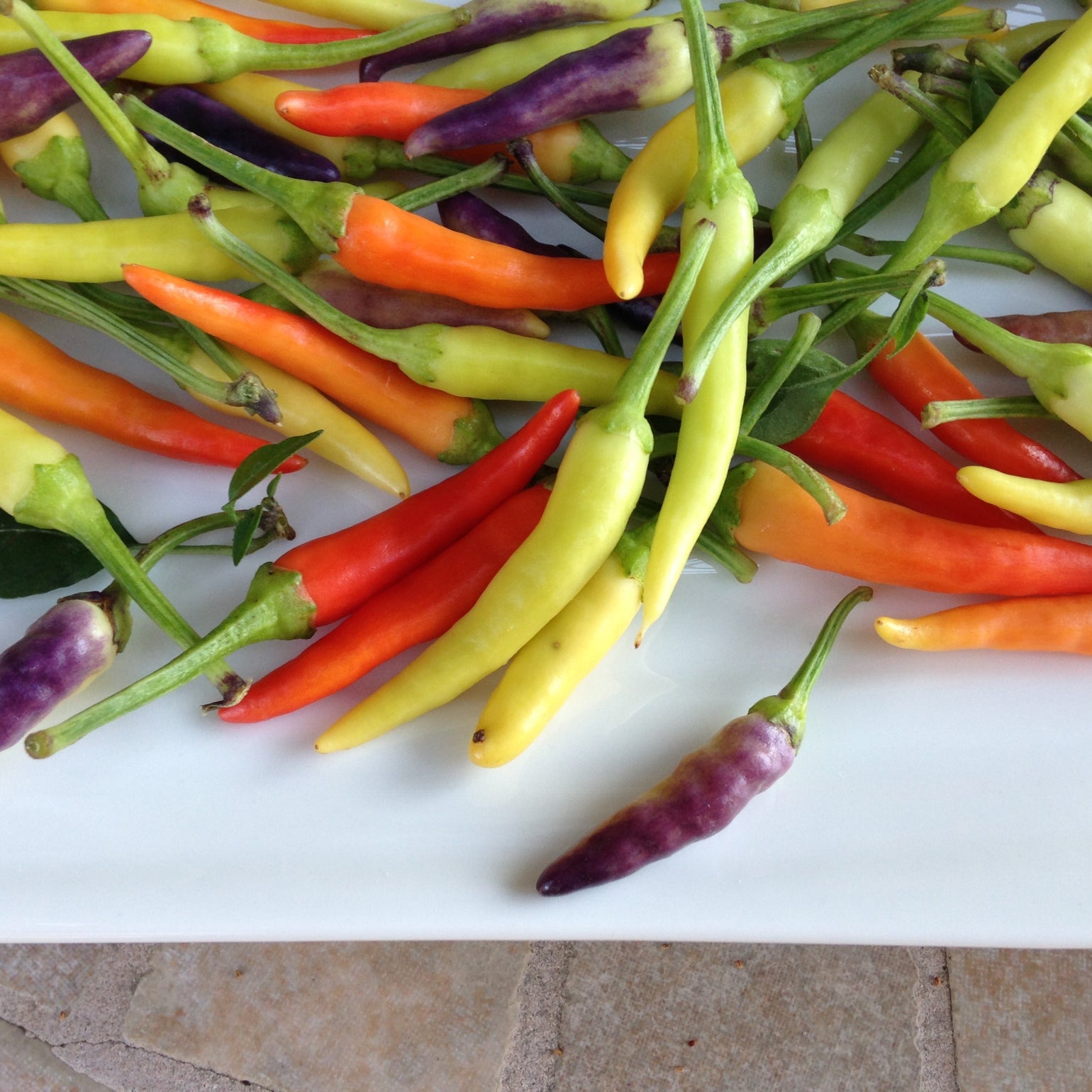 Tiny Veggies™ – Gourmet Sweet Botanicals